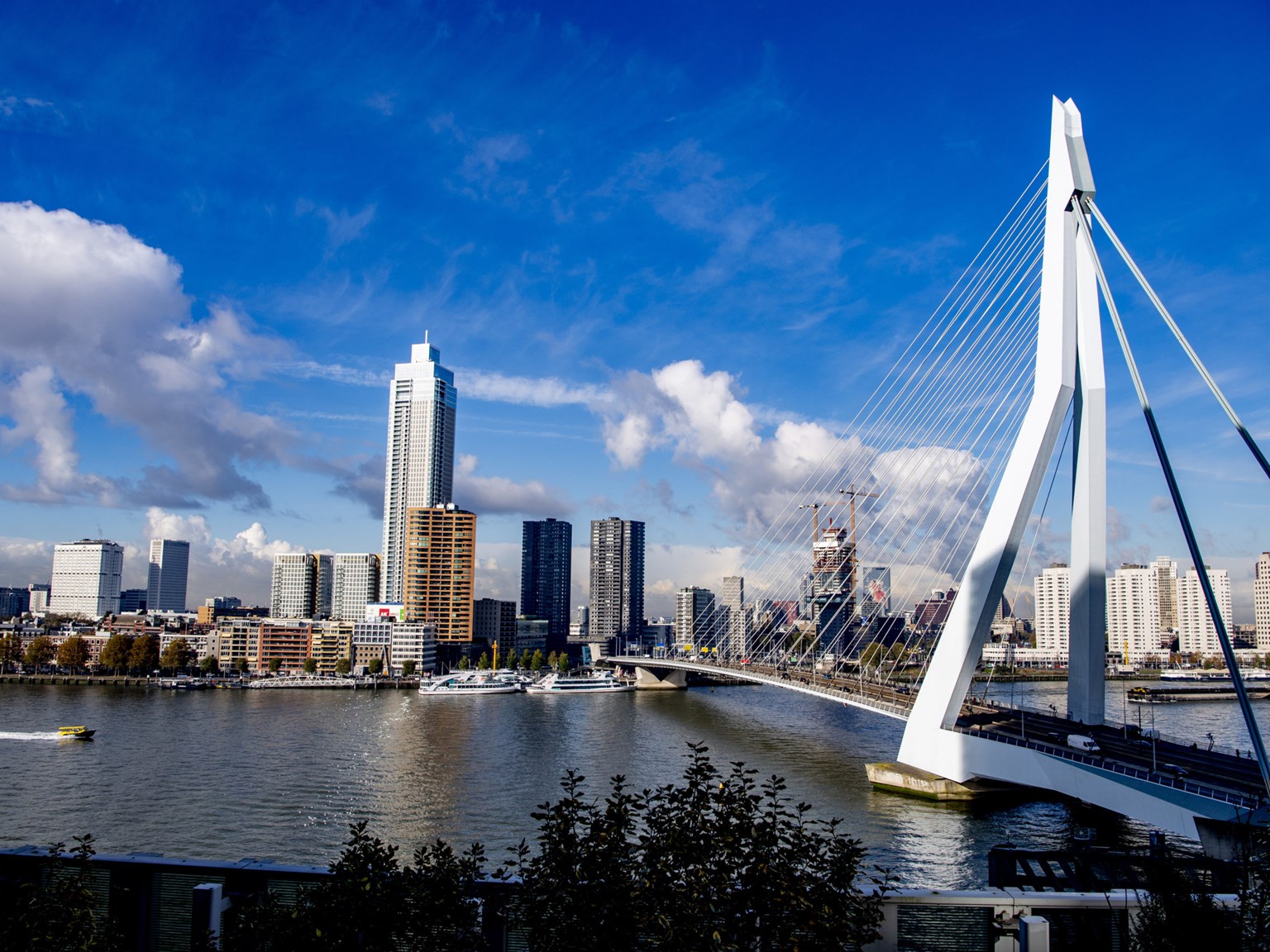 Rotterdam
